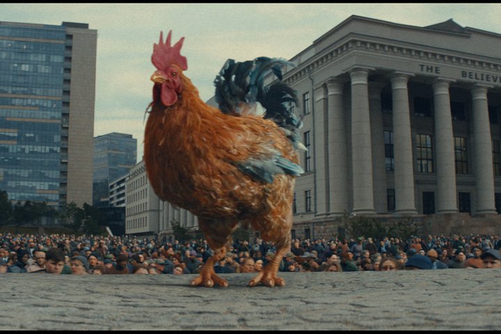 Ciclope Festival 2024 Winners